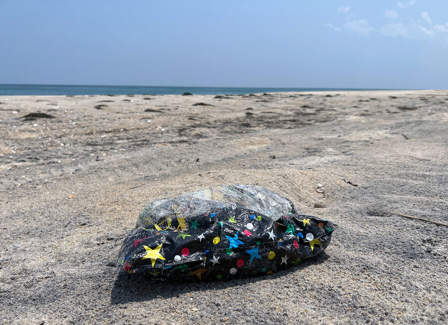 Outer Banks Beach Cleanup (OBX)