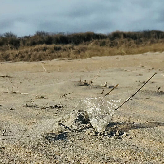 Outer Banks Beach Cleanup (OBX)