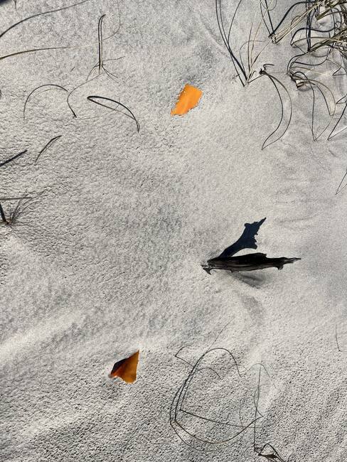 Outer Banks Beach Cleanup (OBX)
