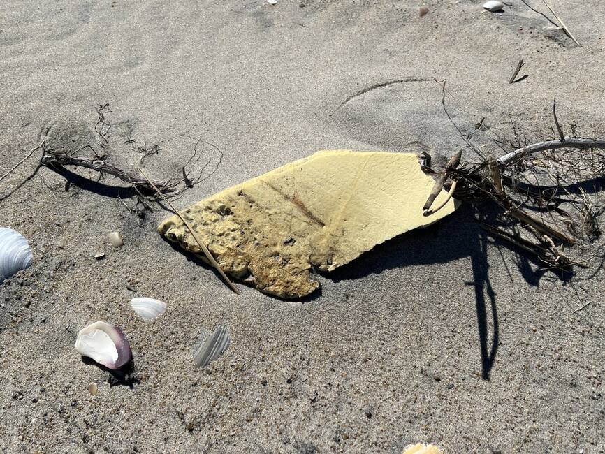 Outer Banks Beach Cleanup (OBX)